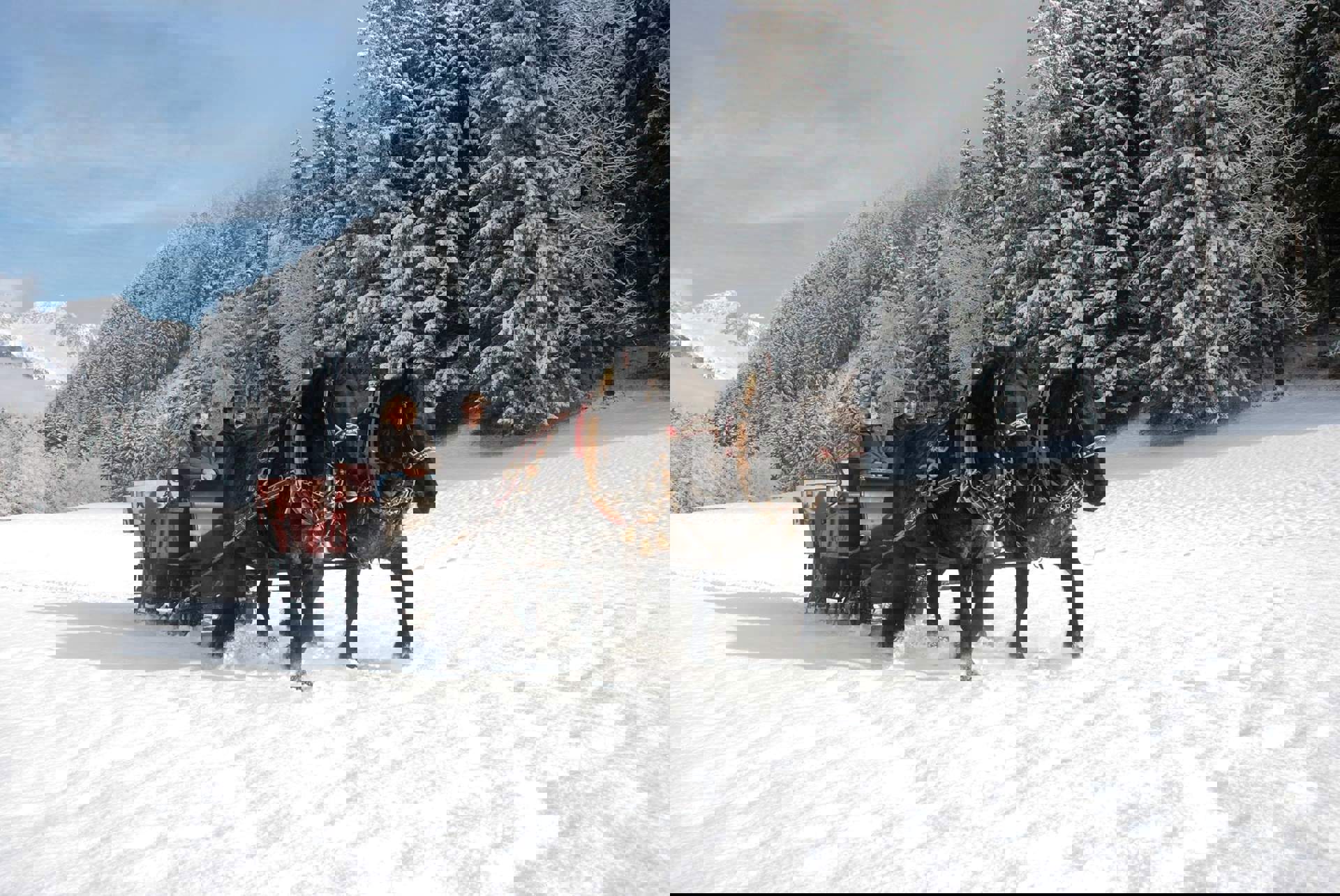 Horse-drawn sleigh rides in the Dolomites, winter sports in South Tyrol